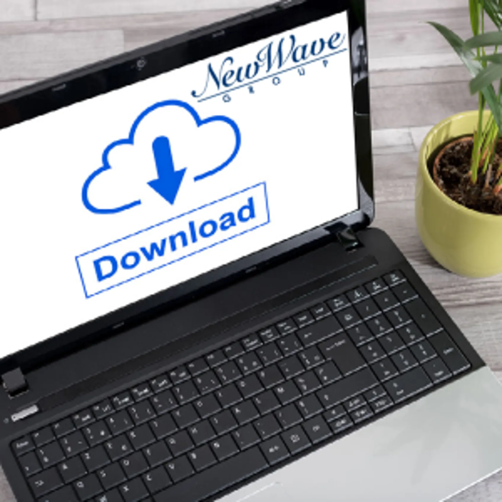 Devoluciones | New Wave